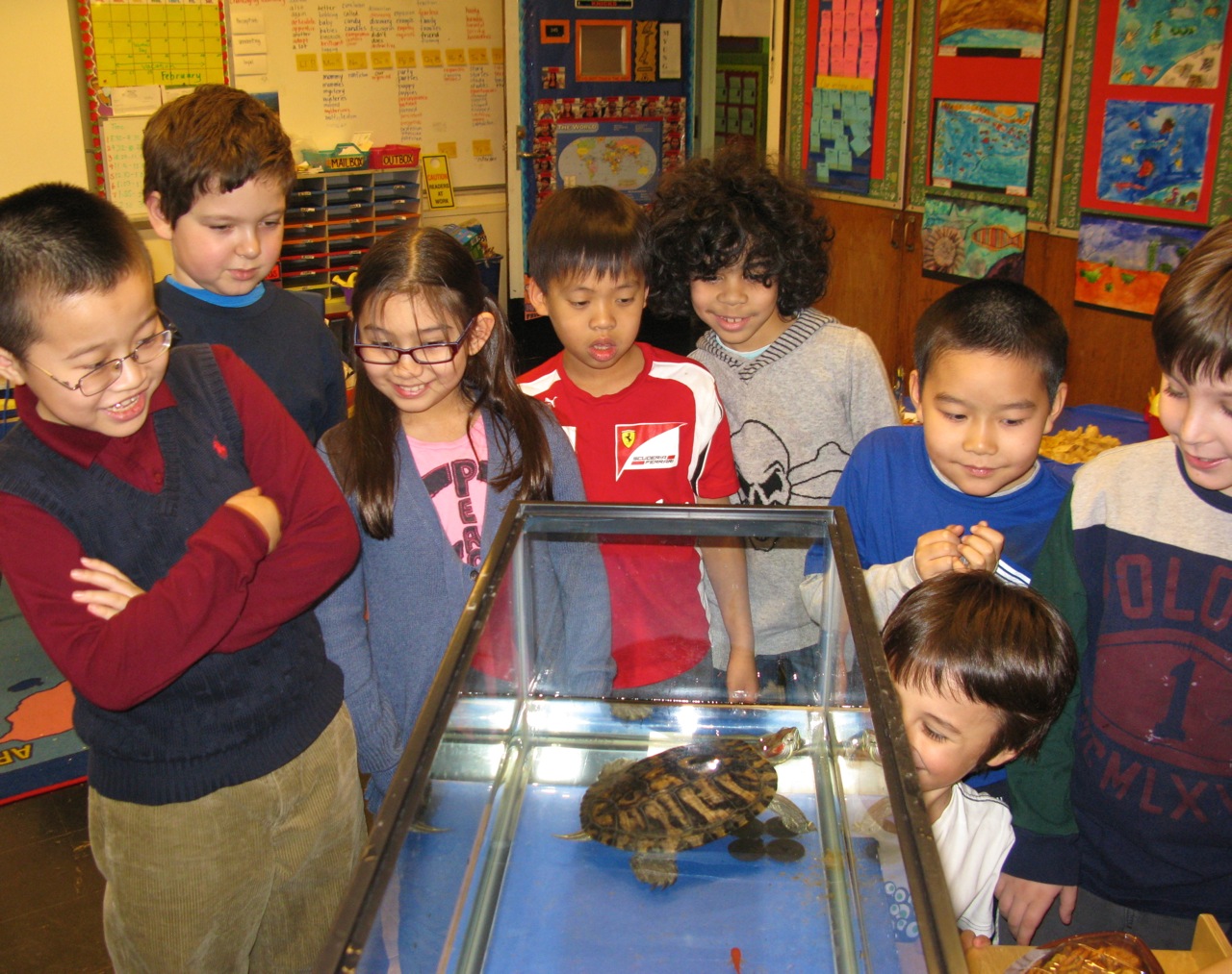 Pets In The Classroom pets-in-the-classroom
